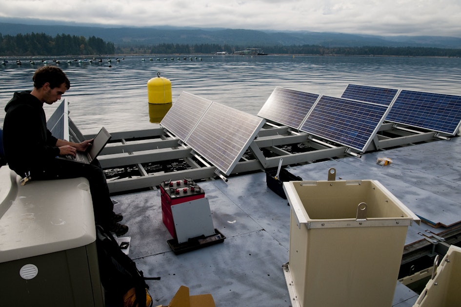 Floating solar: emerging technology doubling installed power per year ...