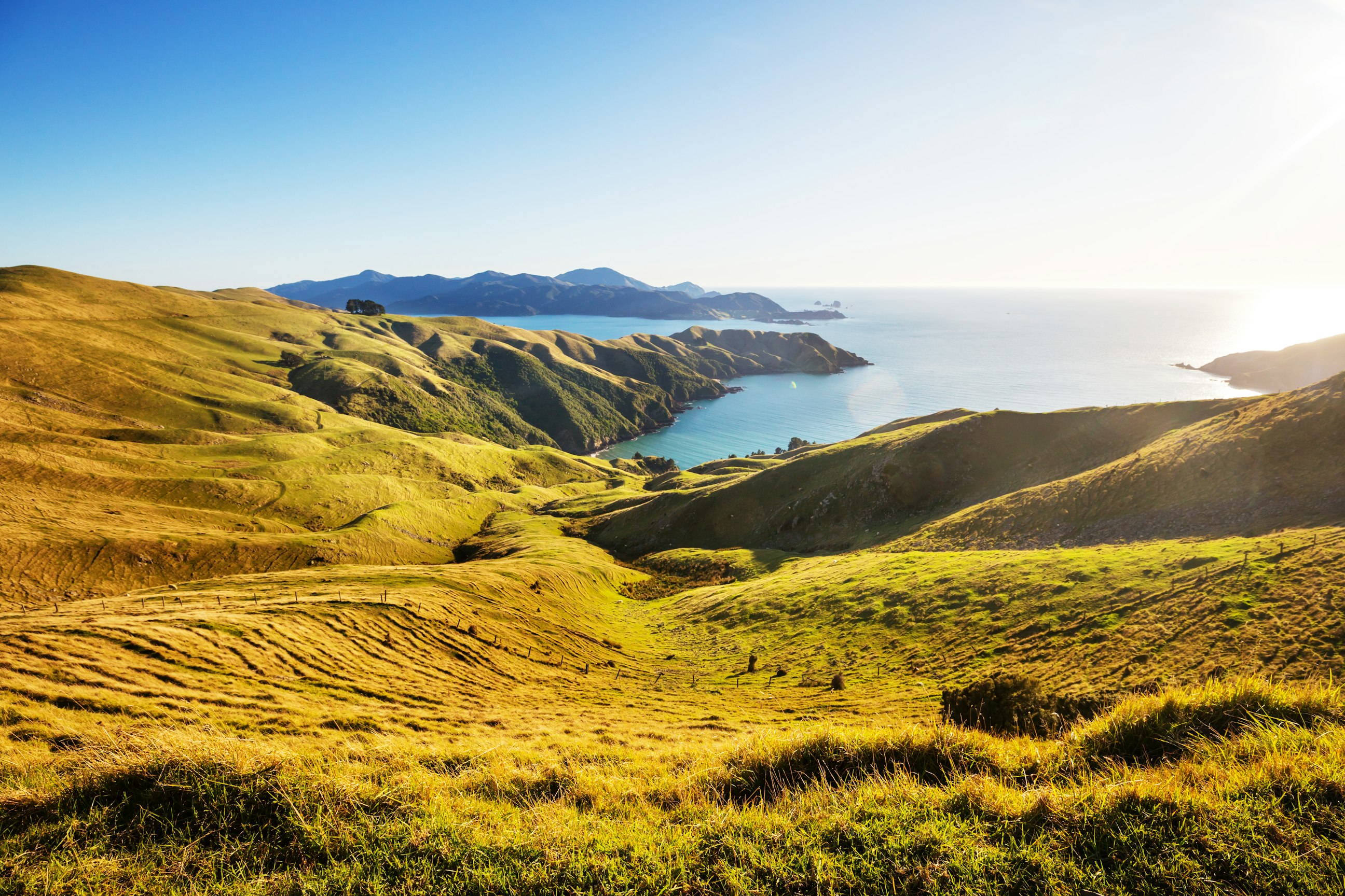 The New Zealand Solar Boom — RatedPower