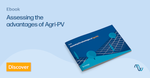 The Rise of Agri-PV — RatedPower